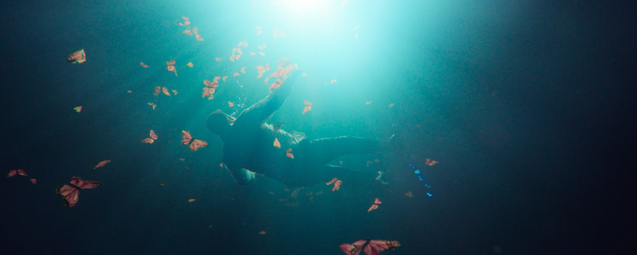 Hola Mexico Film Festival - El Guardián De Las Monarcas